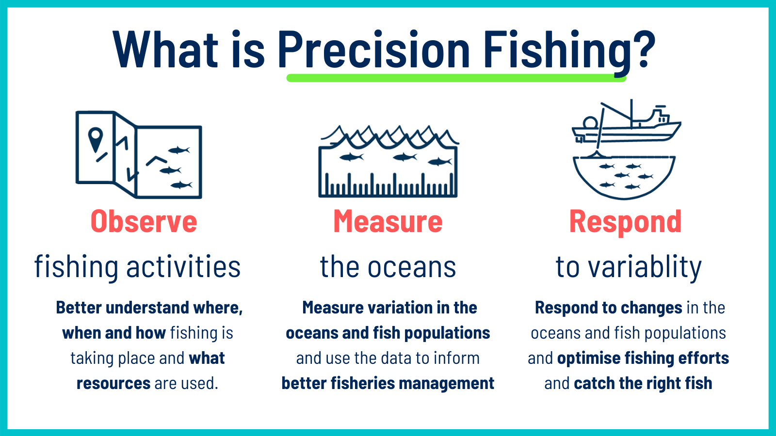 What is Precision Fishing? | CatchCam Technologies