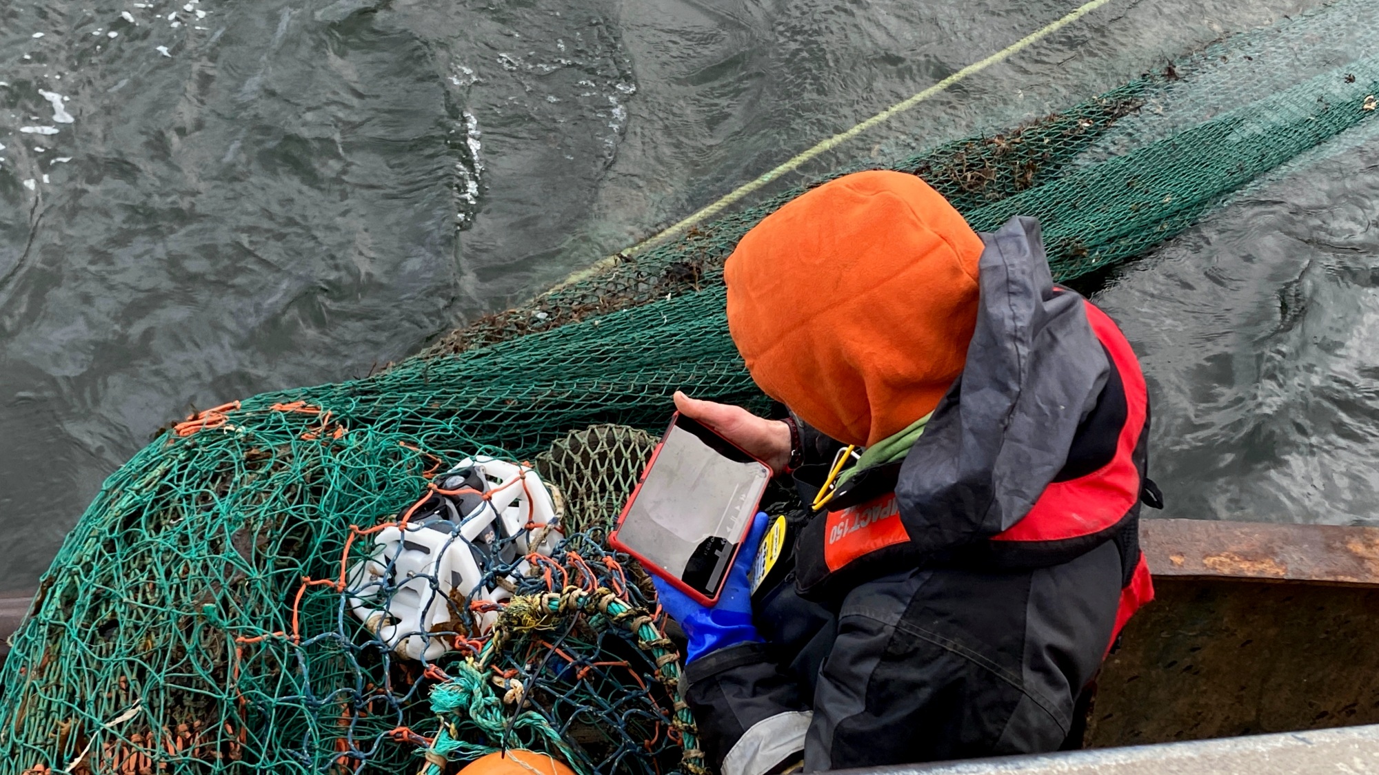 Reducing Bycatch with Underwater Cameras - CatchCam Technologies