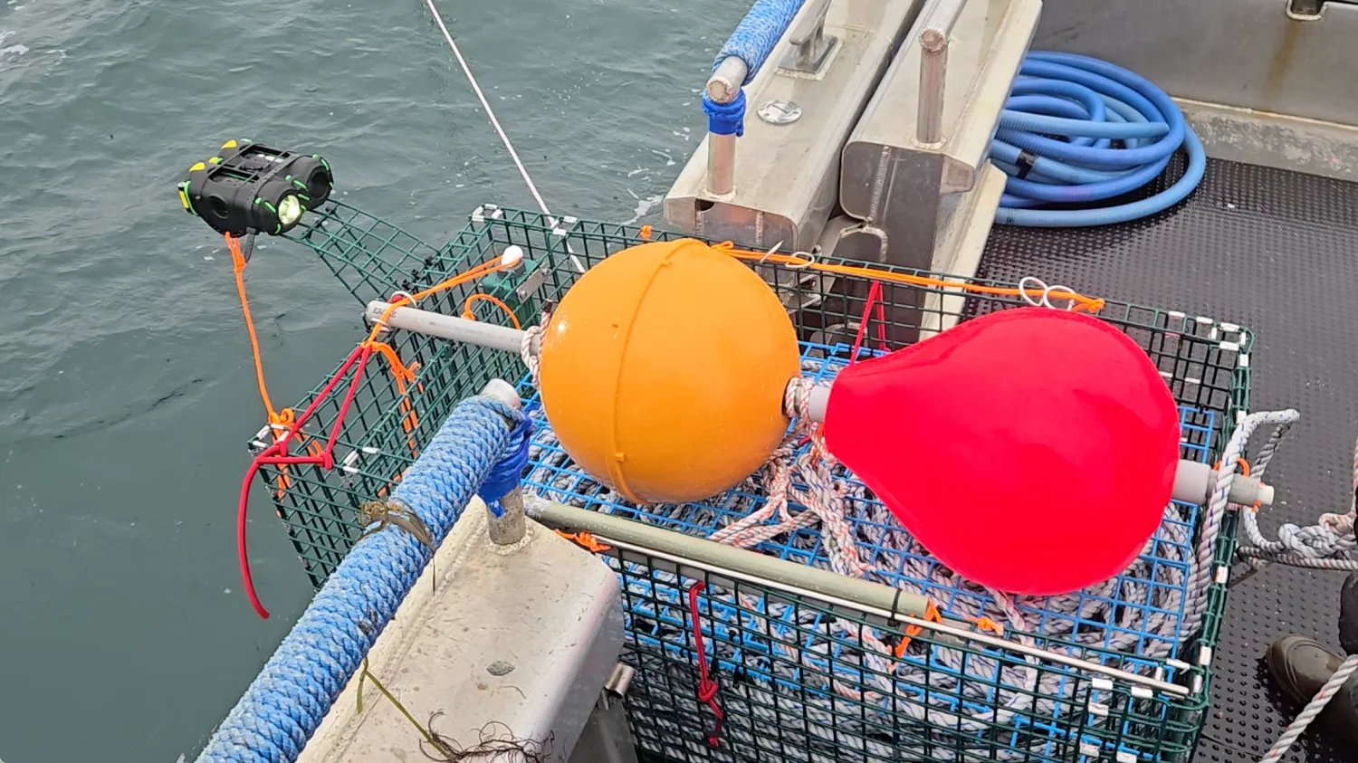 Testing Ropeless Fishing Gear in Offshore Lobster Fisheries